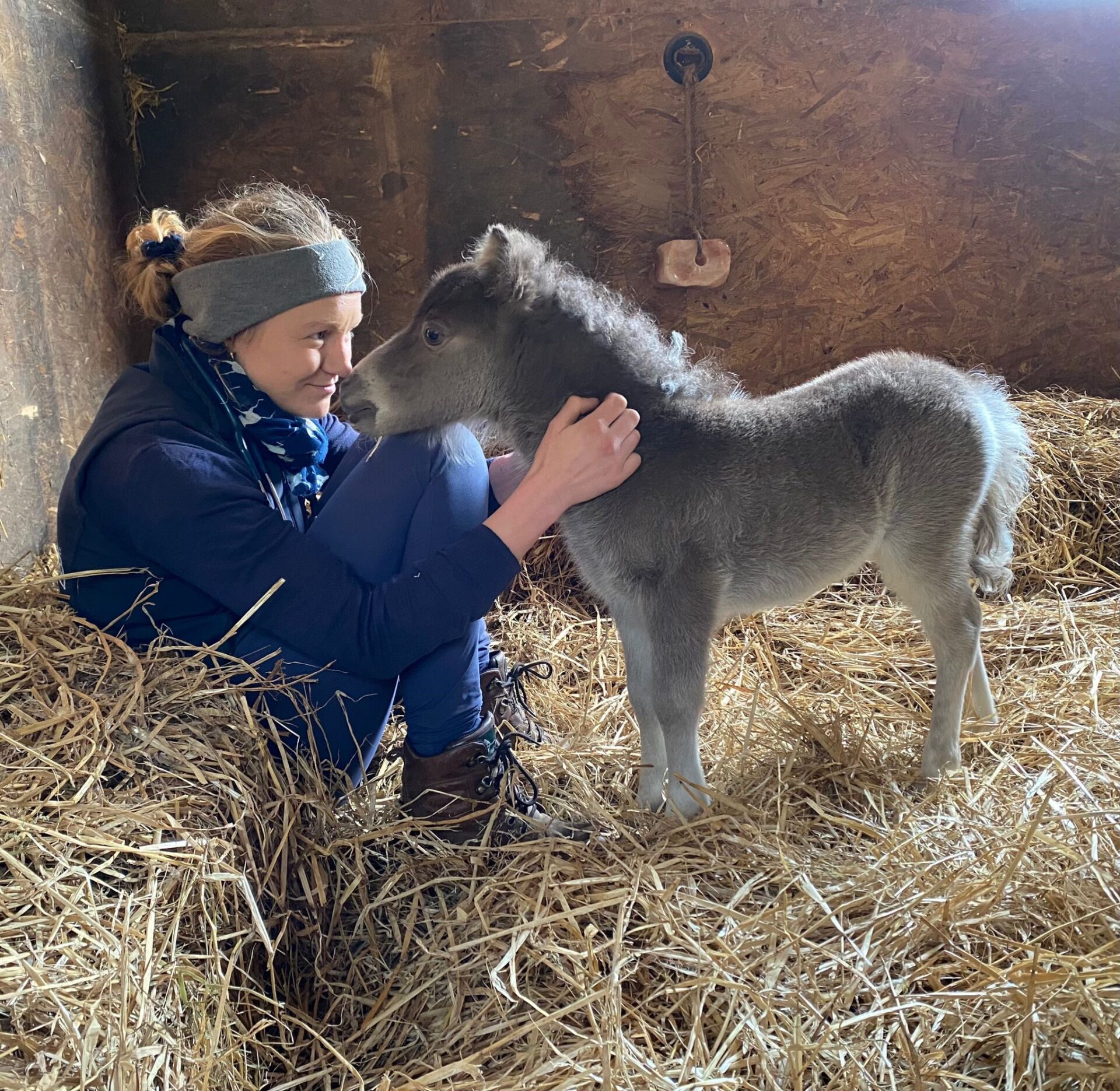 About - Dukes Equine Vets