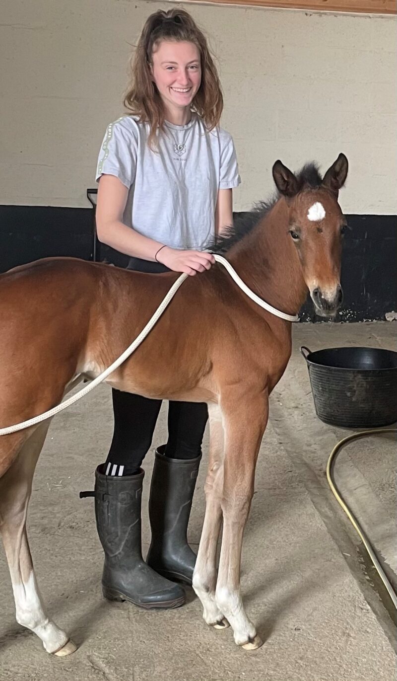 About - Dukes Equine Vets